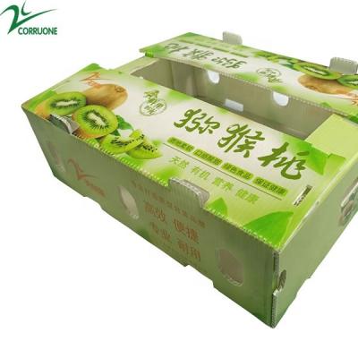 China New 2023 PP Corrugated plastic box Vegetable box cauliflower box en venta