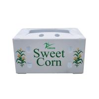 China Corflute Recycled Polypropylene Fruit and Vegetable Packaging Box 600x400mm for sale