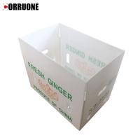 China Corflute Recycled Polypropylene Fruit and Vegetable Packaging Box 600x400mm for sale
