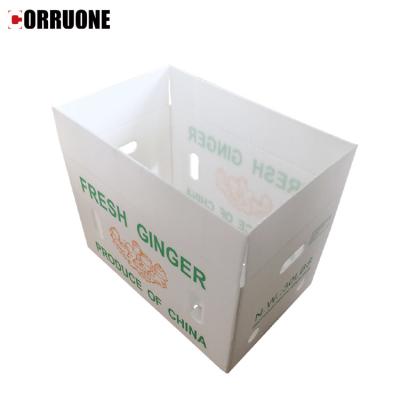 China Corflute Recycled Fruit And Vegetable Packaging Boxes Polypropylene for sale