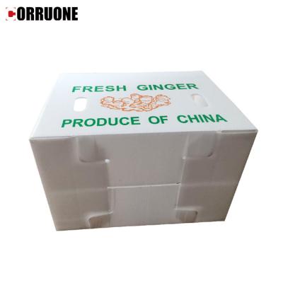 China Corflute Recycled Fruit And Vegetable Packaging Boxes Polypropylene for sale