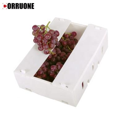 Cina Fruit box by PP material composition of low price in vendita