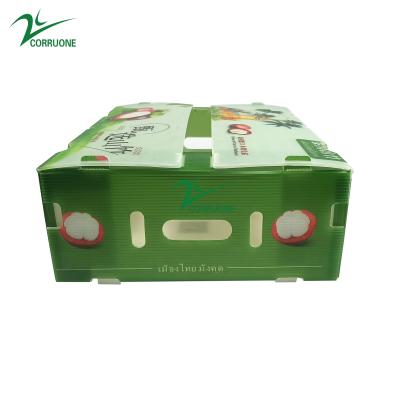 Cina No pollution to fruits and vegetables, can be recycled thermal insulation packaging box in vendita