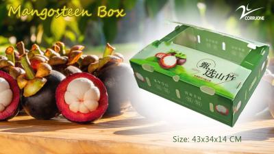 Cina No pollution to fruits and vegetables, can be recycled thermal insulation packaging box in vendita