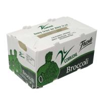 China PP Corrugated Plastic Box 500x270x270mm Waterproof Reusable Vegetable Fruit Packaging Box for sale