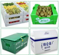 China Custom PP Corrugated Plastic Box 500x270x270mm Waterproof Reusable Vegetable Fruit Packaging for sale