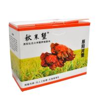 China Polypropylene Corrugated Box for Fruits Vegetables 40x30x20cm for sale