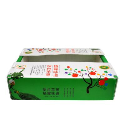 Cina I broccoli che i pp hanno ondulato l'OEM del contenitore di strato hanno ondulato i contenitori di polipropilene in vendita