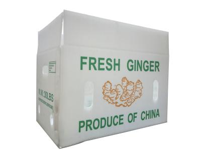 Cina Il mango del PE dei pp ha ondulato le scatole di stoccaggio di Corflute del polipropilene della scatola in vendita