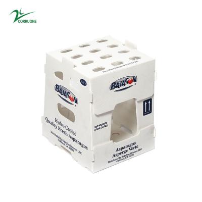 China New 2023 Corrugated plastic box for Fruits and vegetables low price for sale
