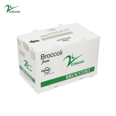 China New 2023 Corrugated plastic box for Fruits and vegetables low price for sale