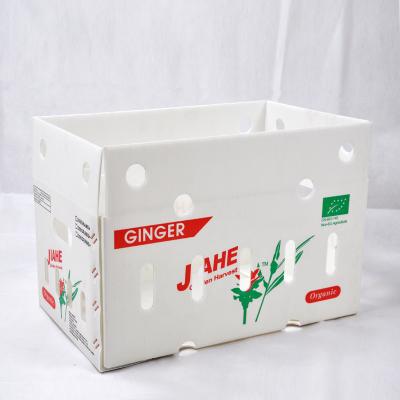 China New 2023 Corrugated plastic box for Fruits and vegetables low price for sale