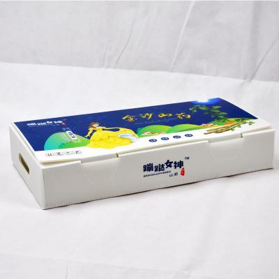 China New 2023 Corrugated plastic box for Fruits and vegetables low price for sale