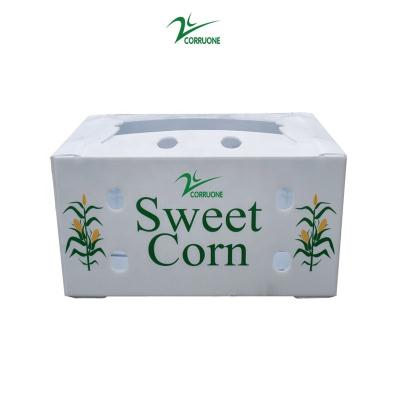 Cina Contenitore ondulato di favo delle scatole di stoccaggio di Corflute dei broccoli per i frutti in vendita