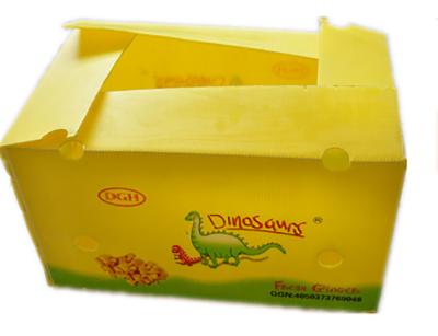 Cina Fruit Vegetable Packing PP Cartonplast Grapes Packing Boxes Plastic Broccoli Boxes Corrugated Ginger Sheet in vendita