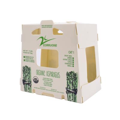 Китай Corruone Custom Vegetable Fruit Tomato Packing Corrugated plastic Box продается