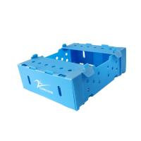 China Custom PP Corrugated Plastic Fruit Vegetable Box 55x45x35cm Reusable Broccoli Packaging for sale