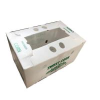 China Custom PP Corrugated Plastic Fruit Vegetable Box 55x45x35cm Reusable Broccoli Packaging for sale