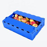 China Custom PP Corrugated Plastic Fruit Vegetable Box 55x45x35cm Reusable Broccoli Packaging for sale