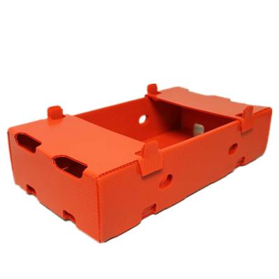 Cina Corruone polypropylene Wholesale waterproof PP corrugated plastic box fruit vegetable foldable PP plastic box in vendita
