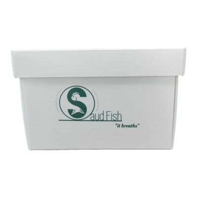 Cina Corruone polypropylene Wholesale waterproof PP corrugated plastic box fruit vegetable foldable PP plastic box in vendita
