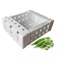 China Corruone PP Corrugated Plastic Asparagus Okra Fruit Vegetable Packaging Box 40x30x20cm for sale