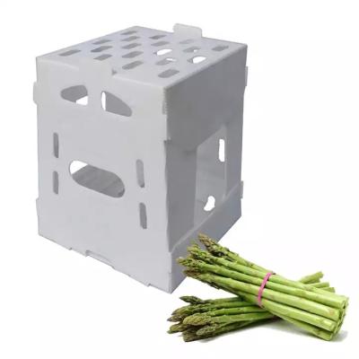 China Asparagus Okra Fruit And Vegetable Packaging Boxes Coreflute for sale