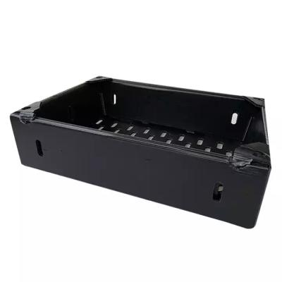 China Asparagus Okra Fruit And Vegetable Packaging Boxes Coreflute for sale