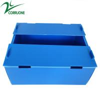 China Customized PP Corrugated Plastic Box 4mm Waterproof Foldable Reusable Vegetable Fruit Packaging for sale