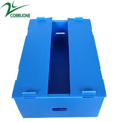 China Corruone Hot Sale Customized waterproof foldable PP polypropylene sheet Material Vegetable Fruit Packaging and delivery Boxes zu verkaufen