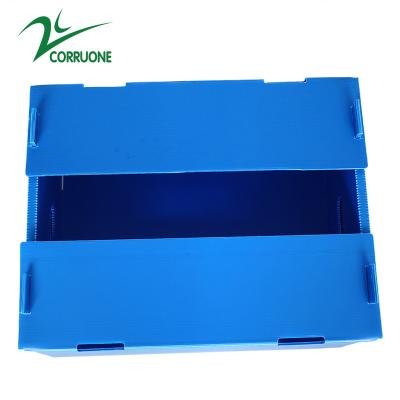 China Corruone Hot Sale Customized waterproof foldable PP polypropylene sheet Material Vegetable Fruit Packaging and delivery Boxes zu verkaufen