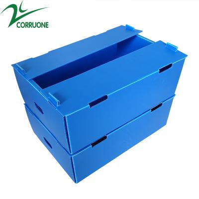 China Corruone Hot Sale Customized waterproof foldable PP polypropylene sheet Material Vegetable Fruit Packaging and delivery Boxes zu verkaufen