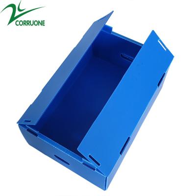 China Corruone Hot Sale Customized waterproof foldable PP polypropylene sheet Material Vegetable Fruit Packaging and delivery Boxes zu verkaufen