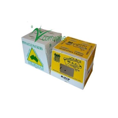 中国 新鮮な野菜と果物 pp波紋プラスチックシートボックス 販売のため