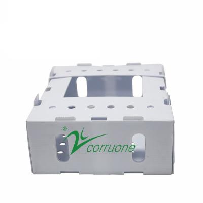 中国 新鮮な野菜と果物 pp波紋プラスチックシートボックス 販売のため