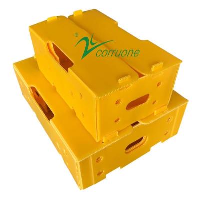 Cina Verde giallo di spessore ondulato di verdure riutilizzabile delle scatole 2mm-11mm in vendita