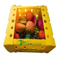 China Custom Corrugated Plastic PP Seafood Box 500x270x270mm 13.6kg Bearing Waterproof Coroplast Storage for sale
