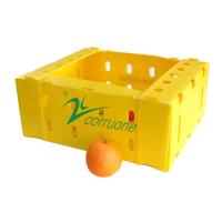 China Custom Corrugated Plastic PP Seafood Box 500x270x270mm 13.6kg Bearing Waterproof Coroplast Storage for sale