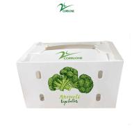 China Stackable Fluted PP Corrugated Box Polypropylene PP Flute Box for sale