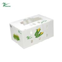China Corrugated Plastic PP Box 500x270x270mm 3.5mm Thickness for Fruit Seafood Vegetable Packaging for sale