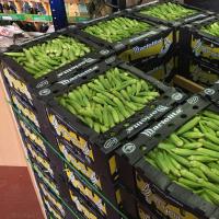 China PP Corrugated Plastic Box 500x270x270mm 3.5mm Thickness for Okra Fruit Vegetable Corflute Correx for sale