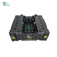 China PP Corrugated Plastic Box 4mm Thick Waterproof Reusable Fruit Vegetable Storage Container for sale