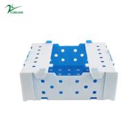 China PP Corrugated Plastic Sheet 4mm Corriboard Corrugated Plastic Box for Fruit Vegetable Packaging for sale