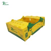 China PP Corrugated Plastic Sheet 4mm Corriboard Corrugated Plastic Box for Fruit Vegetable Packaging for sale