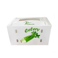 China PP Corrugated Plastic Box 4mm Thick Waterproof Reusable Fruit Vegetable Storage Container for sale
