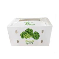 China PP Corrugated Plastic Box 4mm Thick Waterproof Reusable Fruit Vegetable Storage Container for sale