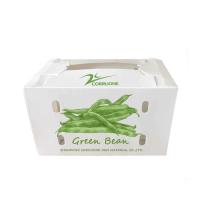 China PP Corrugated Plastic Box 4mm Thick Waterproof Reusable Fruit Vegetable Storage Container for sale