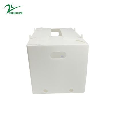 중국 코렉스 과일 골판지 박스는 옥수수를 위한 파형 플라스틱 박스를 맞추어줍니다 판매용