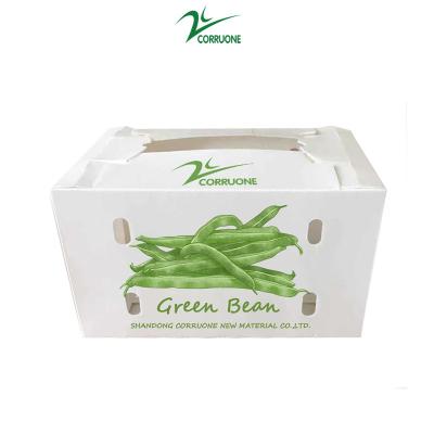 中国 OEMのブロッコリーのフルーツの波形箱はプラスチック配達箱を波形を付けた 販売のため