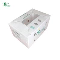 China Coroplast Board 4ft x 8ft Twin Wall Polypropylene Sheet UV Resistant Customizable for sale